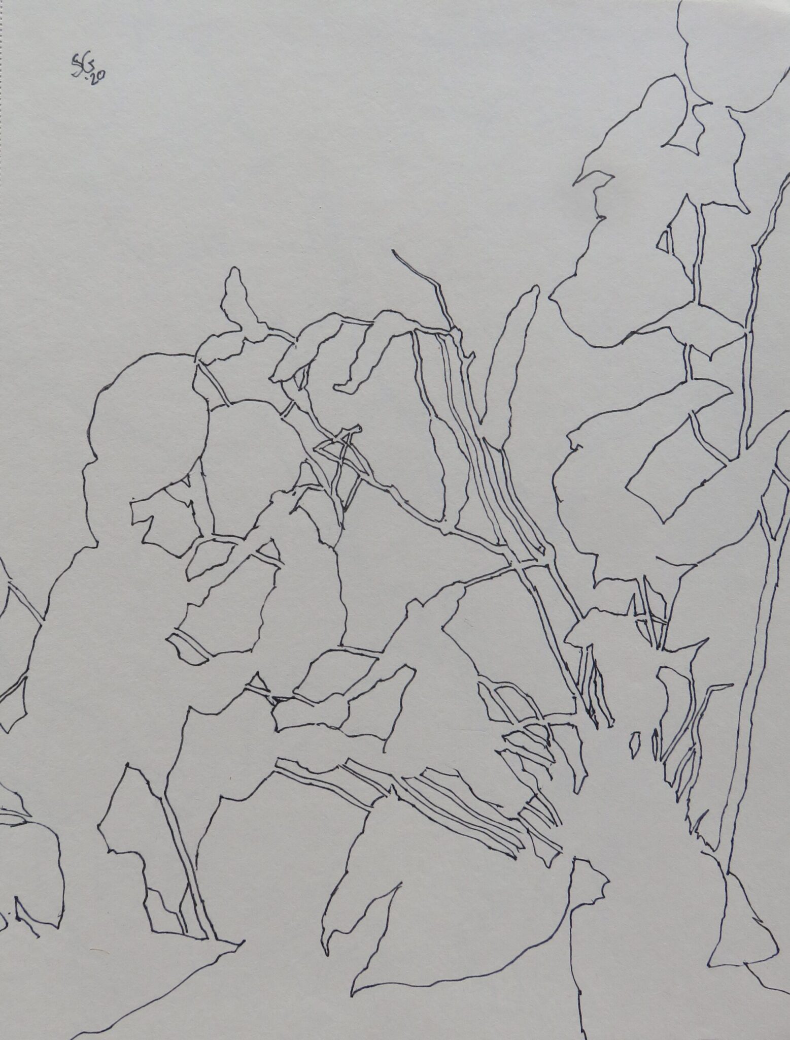 Embracing Negative Space – Samuel Gelber - The Maine Arts Journal: The ...