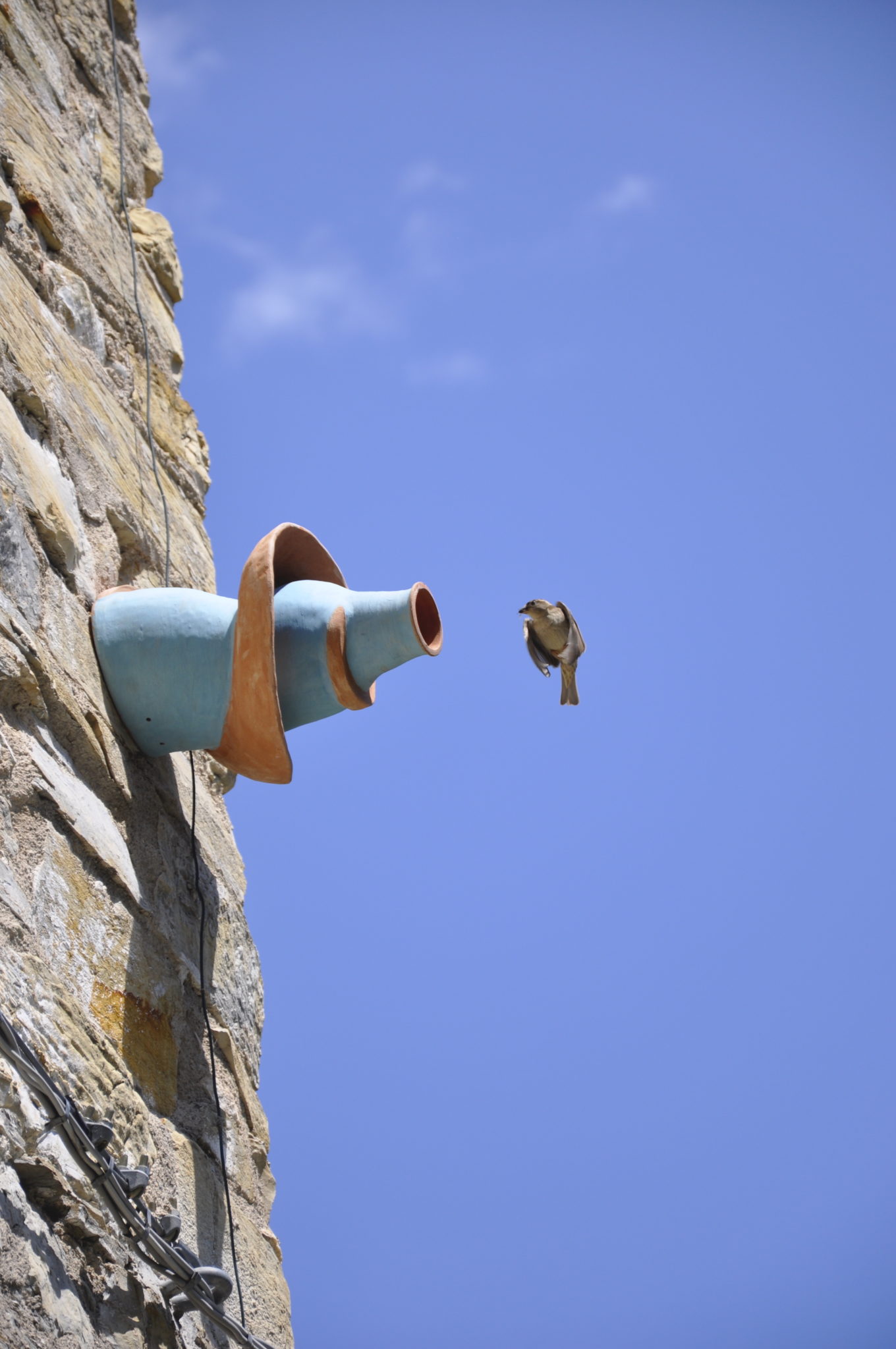 Marguerite Kahrl – Towards a Common Goal: Relational Nests - The Maine ...