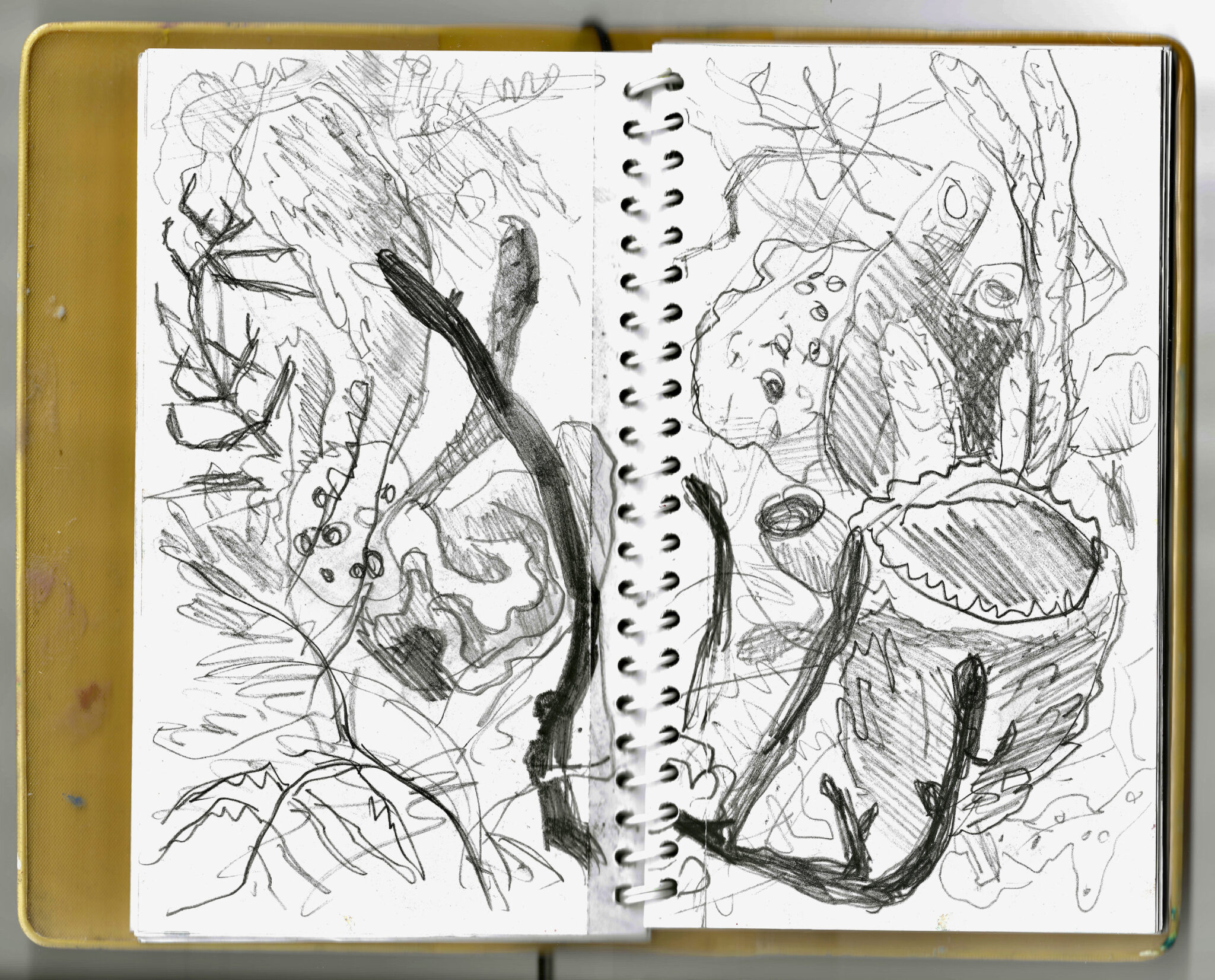 UMVA Showcase Summer 2024 – Elizabeth Awalt, Kathryn Shagas, Laura Dunn ...