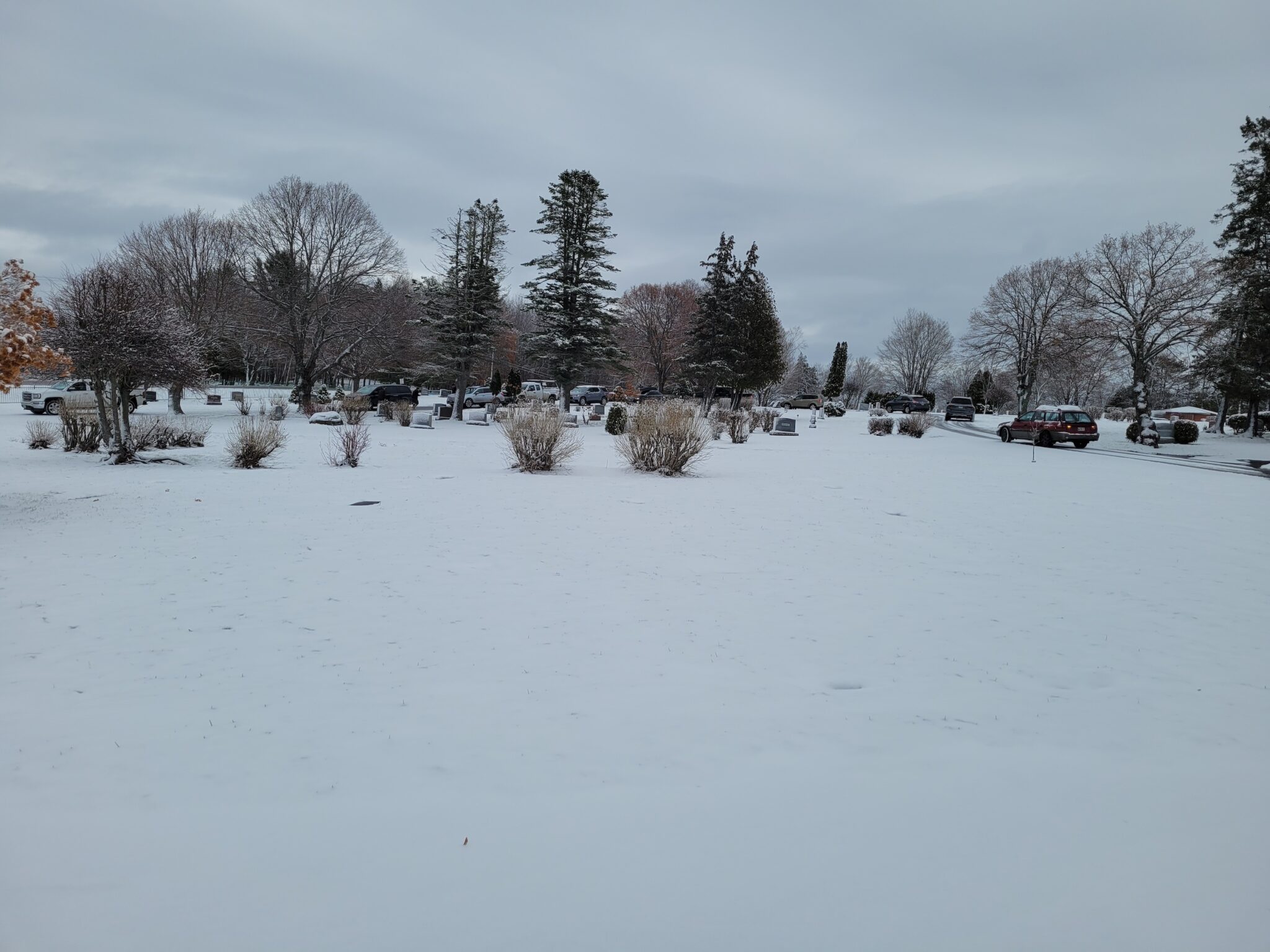 Susan Cook – Poetry - The Maine Arts Journal: The UMVA Quarterly